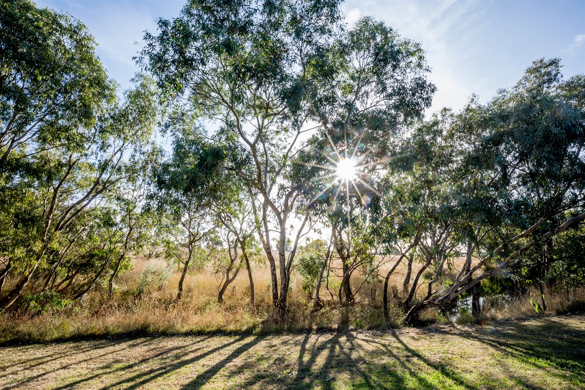 Annual Report Highlights Successful Year for Council - Hume City Council