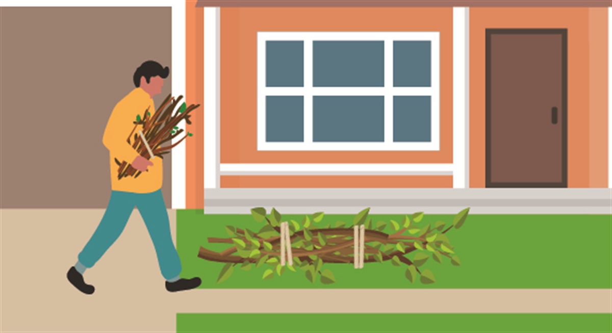 Bundled branch collections - Hume City Council