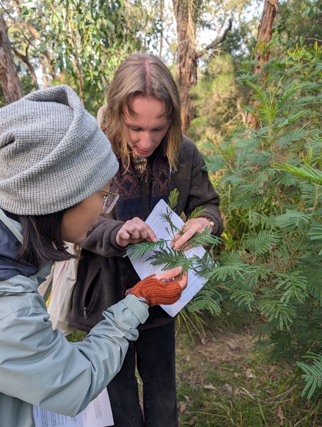 Nature Stewards Program open to budding nature enthusiasts - Hume City ...