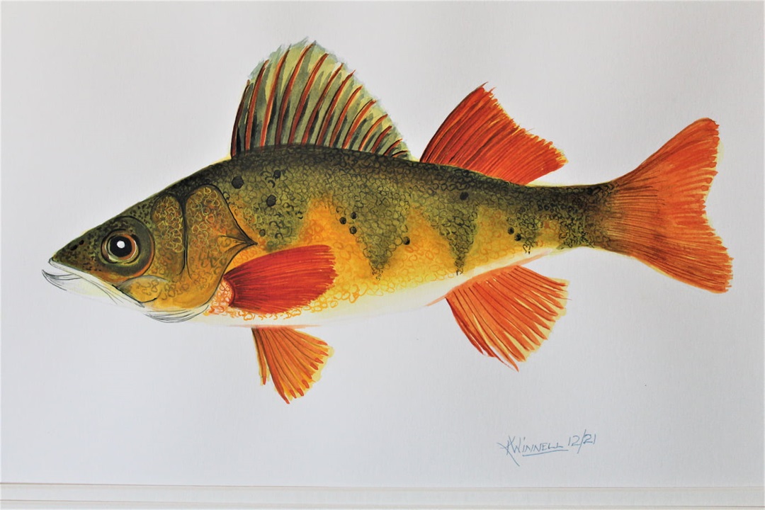 Appetite for Art - Sunbury Art Society - Hume City Council