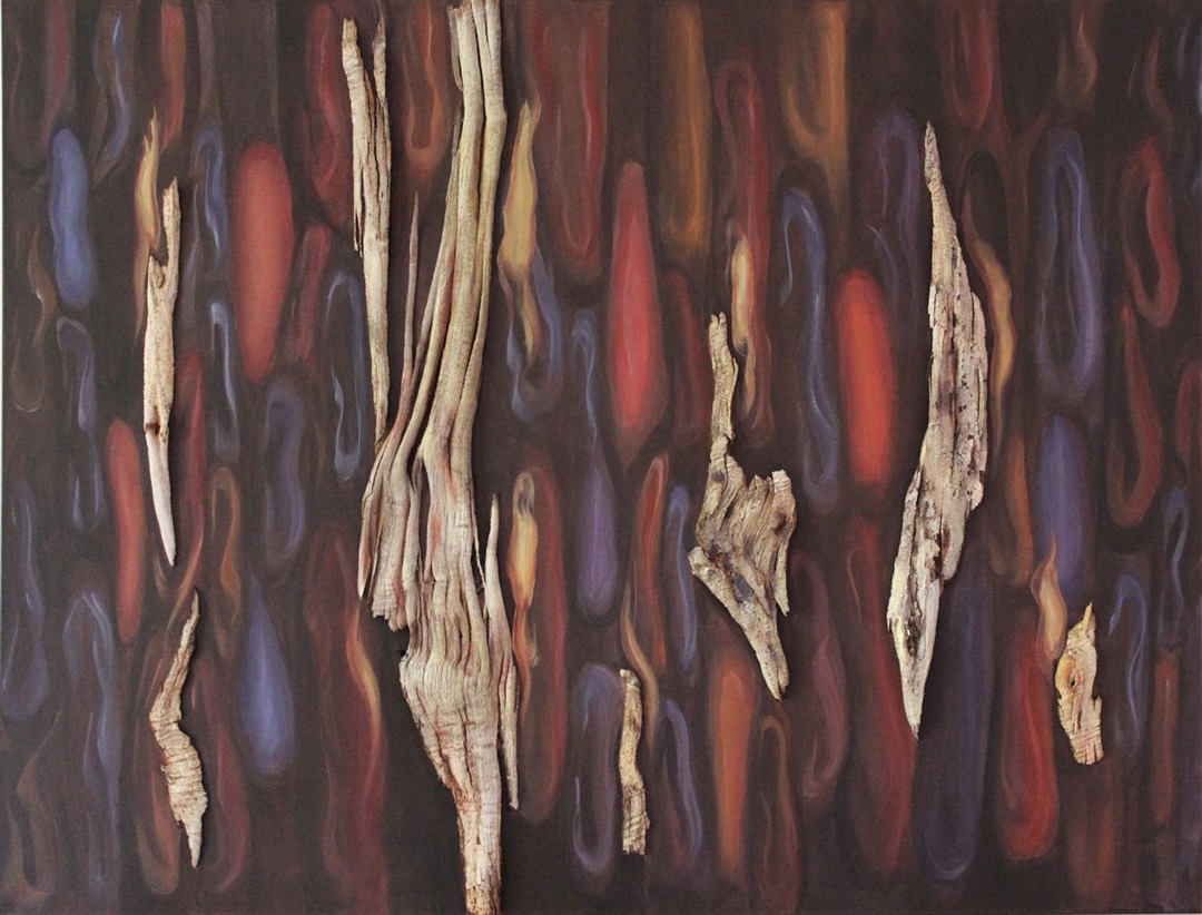 Transition by Manan Walia - Hume City Council